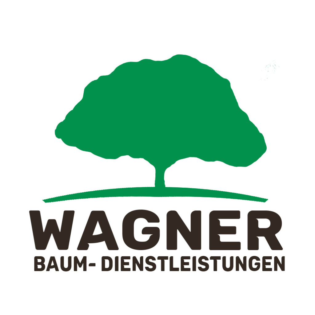 Baumpflege Wagner – Ihr Baumpflege Spezialist